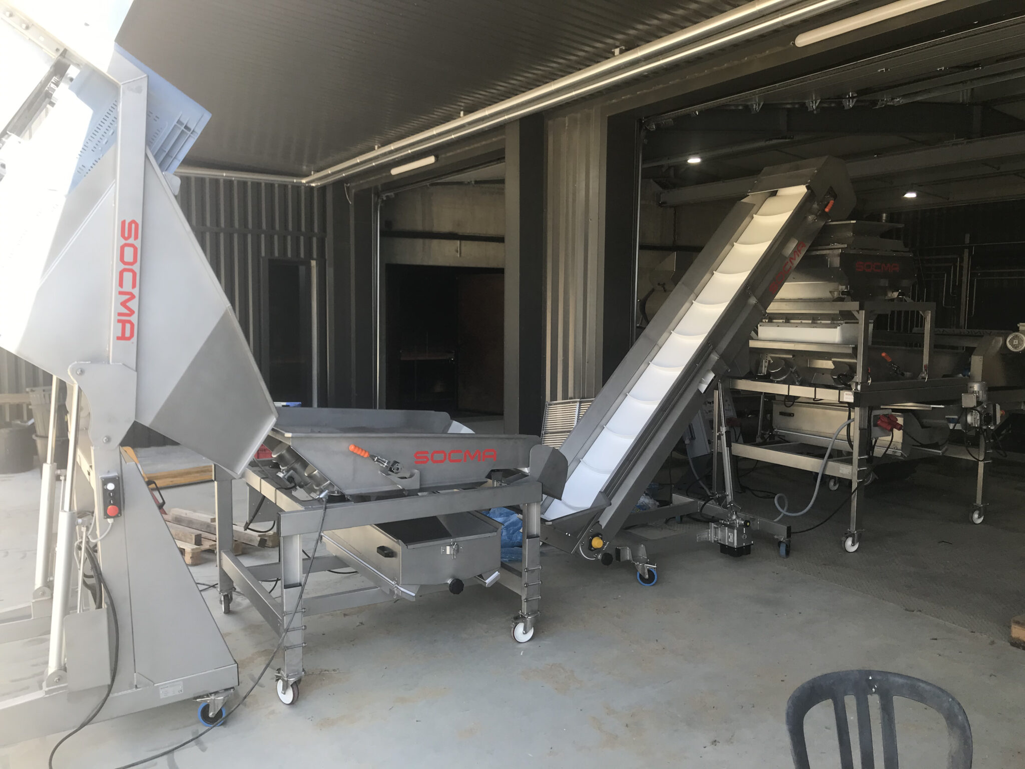 Grape sorting: a crucial step in crafting quality wine